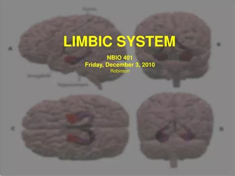 PPT LIMBIC SYSTEM PowerPoint Presentation Free Download ID