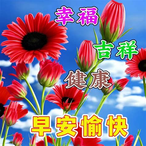 早上好表情包丨暖暖的春风轻轻问候