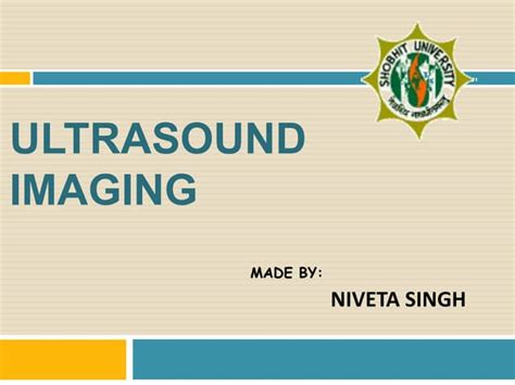 Ultrasound Transducer Types Pptx