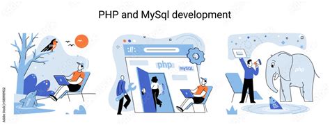 php and mysql development vector set database management system