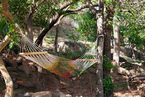 Best Hammock Bug Net In 2022 99camping