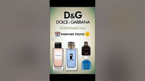 Dolce And Gabbana Best Dupe Clone Alternatives Perfume Fragrance