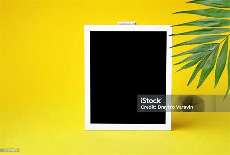 사진 템플릿 손바닥 잎 노란색 배경에 인스턴트 사진의 빈 공백 이미지 템플릿을 넣을 준비가 되었습니다 공간을 복사합니다 0명에 대한 스톡 사진 및 기타 이미지 Istock