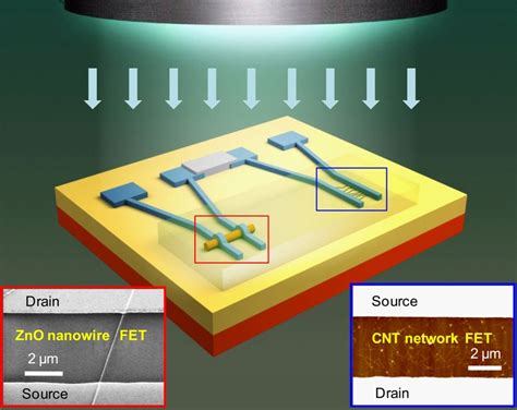 Device Layout Of The Hybrid Complementary Logic Circuit Comprising Download Scientific Diagram