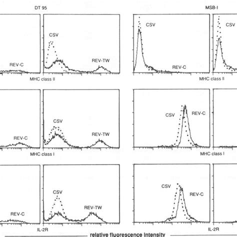 Expression Of MHC Class I MHC Class II And IL 2R Download Table