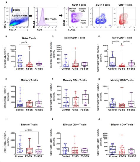 Immunophenotyping of naïve memory and effector T cells in Download Scientific Diagram
