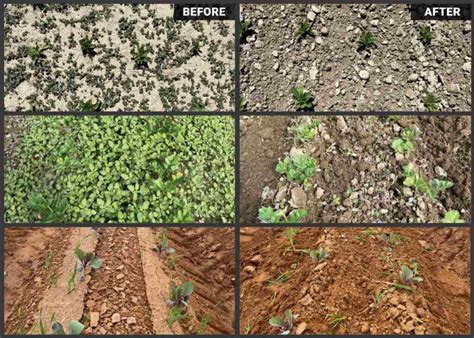 Farmwise Vulcan Autonomous Weeding Robot Agtecher The Agri Tech Place