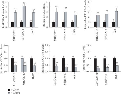 Validation Of Microarray Result By Quantitative RT PCR Six Download Scientific Diagram