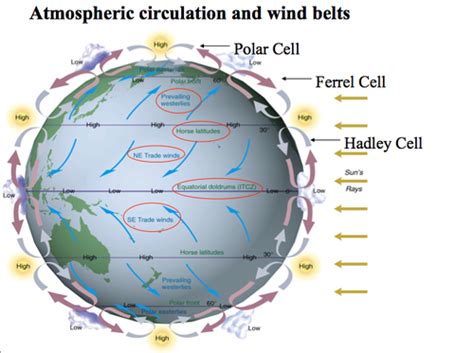 Global Atmospheric Circulation Flashcards Quizlet