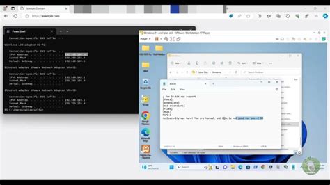 Ventsislav V On Linkedin Apachefriends Xampp Version 8 2 12 Bypass