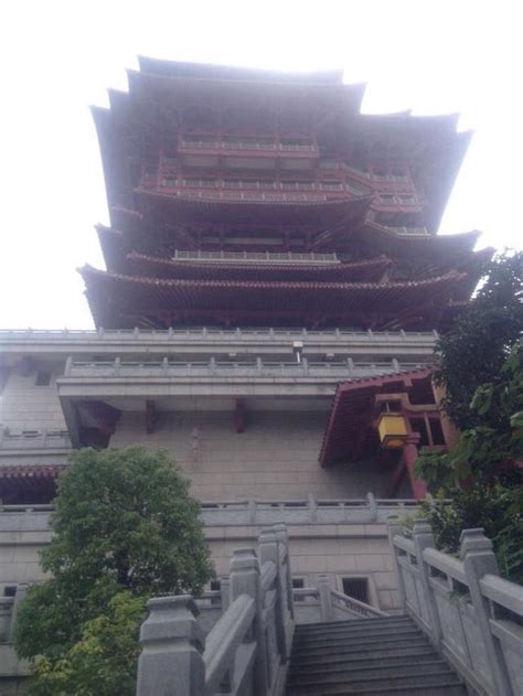 此間樂不思榕 每日頭條