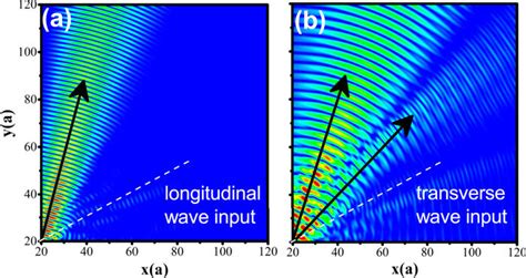 Real Life Examples Of Longitudinal Waves
