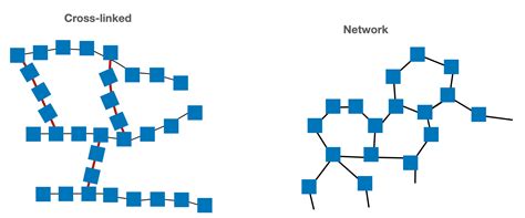 Polymer Architecture