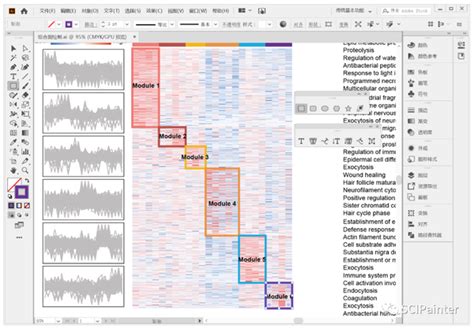 R语言ai炫一个模块热图go功能富集组合图展示空间功能特征！ 知乎