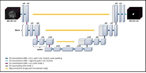 Schematic Representation Of 3d U Net Network Architecture The Network Download Scientific