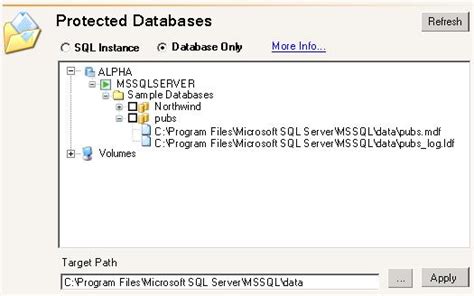 Configuring Sql Database Protection
