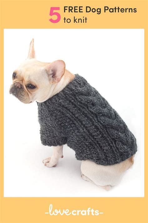 Top 5 Free Dog Sweater Knitting Patterns Dog Jacket Patterns Small