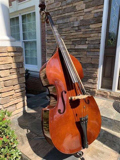 Best Budget Double Bass At Jimmy Milam Blog