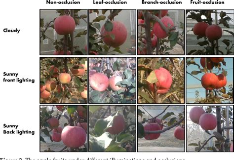 Figure 3 From Occluded Apple Fruit Detection And Localization With A Frustum Based Point Cloud