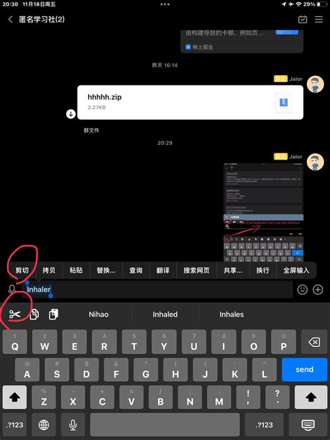 Textfield In Ipados 161 Is Abnormal When Use Cut Copy Paste · Issue 115649 · Flutter