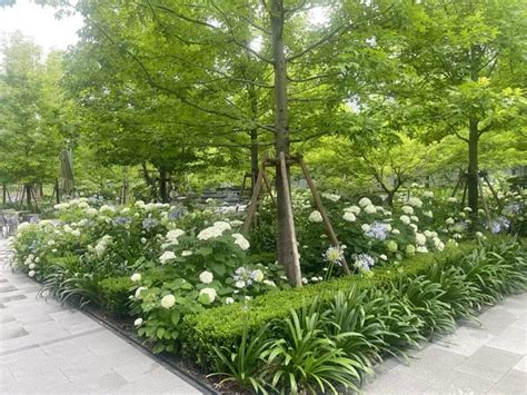 花瓣灵感详情页 花瓣网