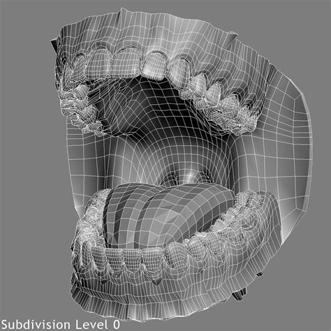 Realistic Teeth Gums Tongue Max