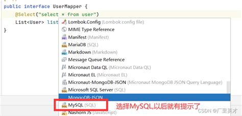 Springboot中数据库的连接及mybatis的配置和使用springboot Mybatis 数据库连接配置 Csdn博客