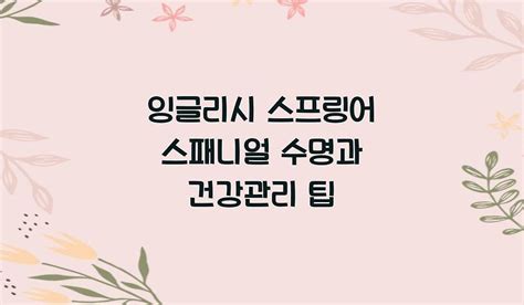 잉글리시 스프링어 스패니얼 수명과 건강관리 팁