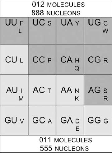 The Nucleon Number Balance Within Two Complementary Parts Download