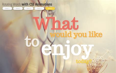 Image Hover With Slide Out Title