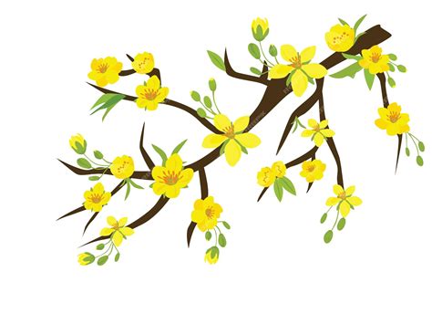 Premium Vector Ochna Integerrima Tree Branch Vector Ochna Flower Clip Art Vietnam Traditional