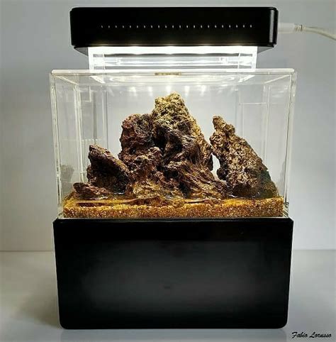 My Smallest Tank Mini Complete Tank Mini Aquarium