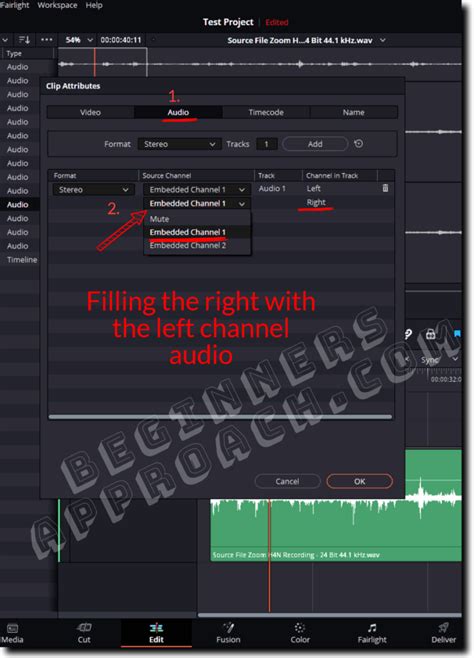 davinci resolve mono to stereo fix audio only on one side