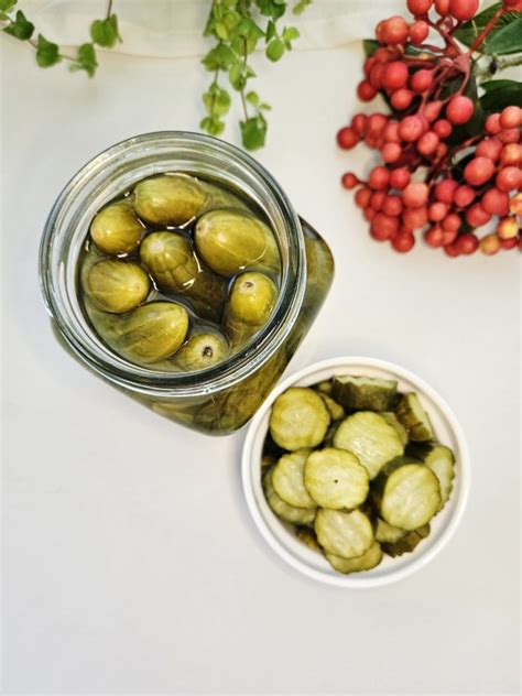 오이피클 만드는 법 스낵오이 피클 만드는 법 스낵오이피클 레시피 네이버 블로그