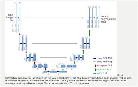 Understanding Skip Connections In Convolutional Neural Networks Using U