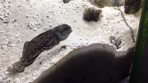 aruna jyothi posted on linkedin