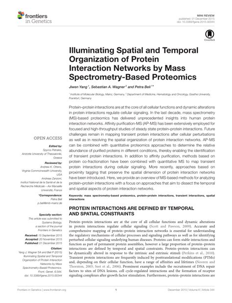 PDF Illuminating Spatial And Temporal Organization Of Protein