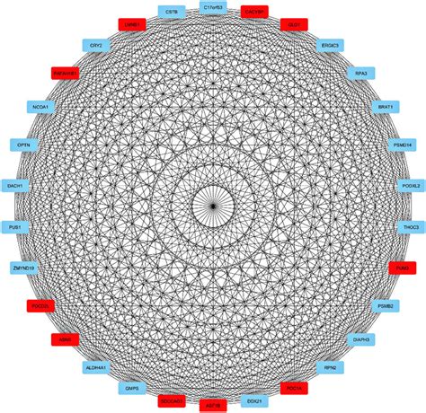 Turquoise Module Network The Top 10 Genes In This Module All Have The Download Scientific