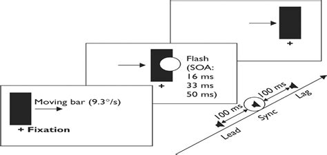 An Event Related Potential Investigation Of The Time Course