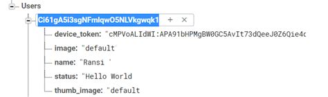 Javascript Can Access Firebase Admin Through Firebase Funcition