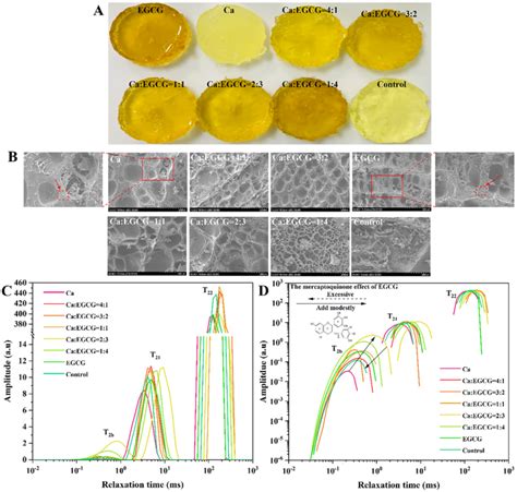 The Appearance Features A Sem Microstructure B And Lf Nmr Download Scientific Diagram