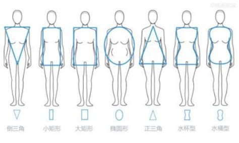 【女性课】女性的六种体型 知乎