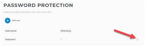 Using The Windows Password Protection Foundation