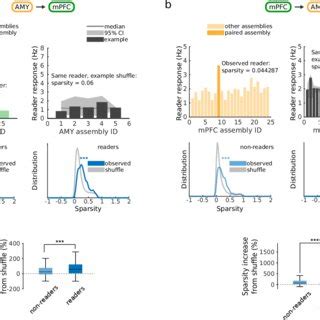 Fig S10 The Assembly Reader Mechanism Can Implement Pattern Download Scientific Diagram