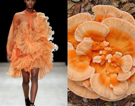Fungi And Mushrooms Inspired Fashion Fashion Design Collection Conceptual Fashion Stuffed