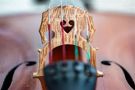 Cello Strings Sound Free Photo On Pixabay