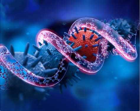 Bio Integration Volume 3 Issue Number 3 Publishes Bio Integration