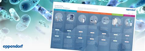 Foolproofing Microbiome Workflows