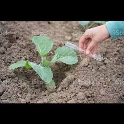 Agricultural Fertilizer Testing Services In Ghaziabad Id 2850676345897