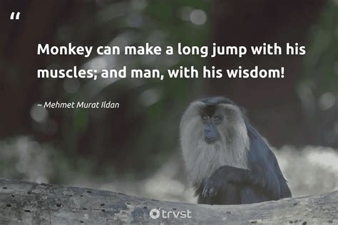 Code Monkeys Quotes